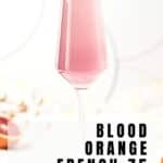 Blood Orange French 75 - Resplendent Kitchen