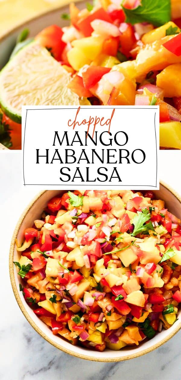 Mango Habanero Salsa - Resplendent Kitchen