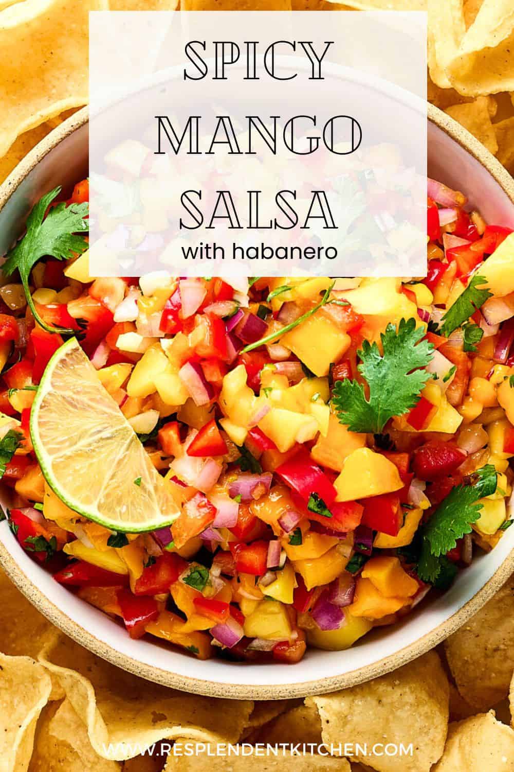 Mango Habanero Salsa - Resplendent Kitchen