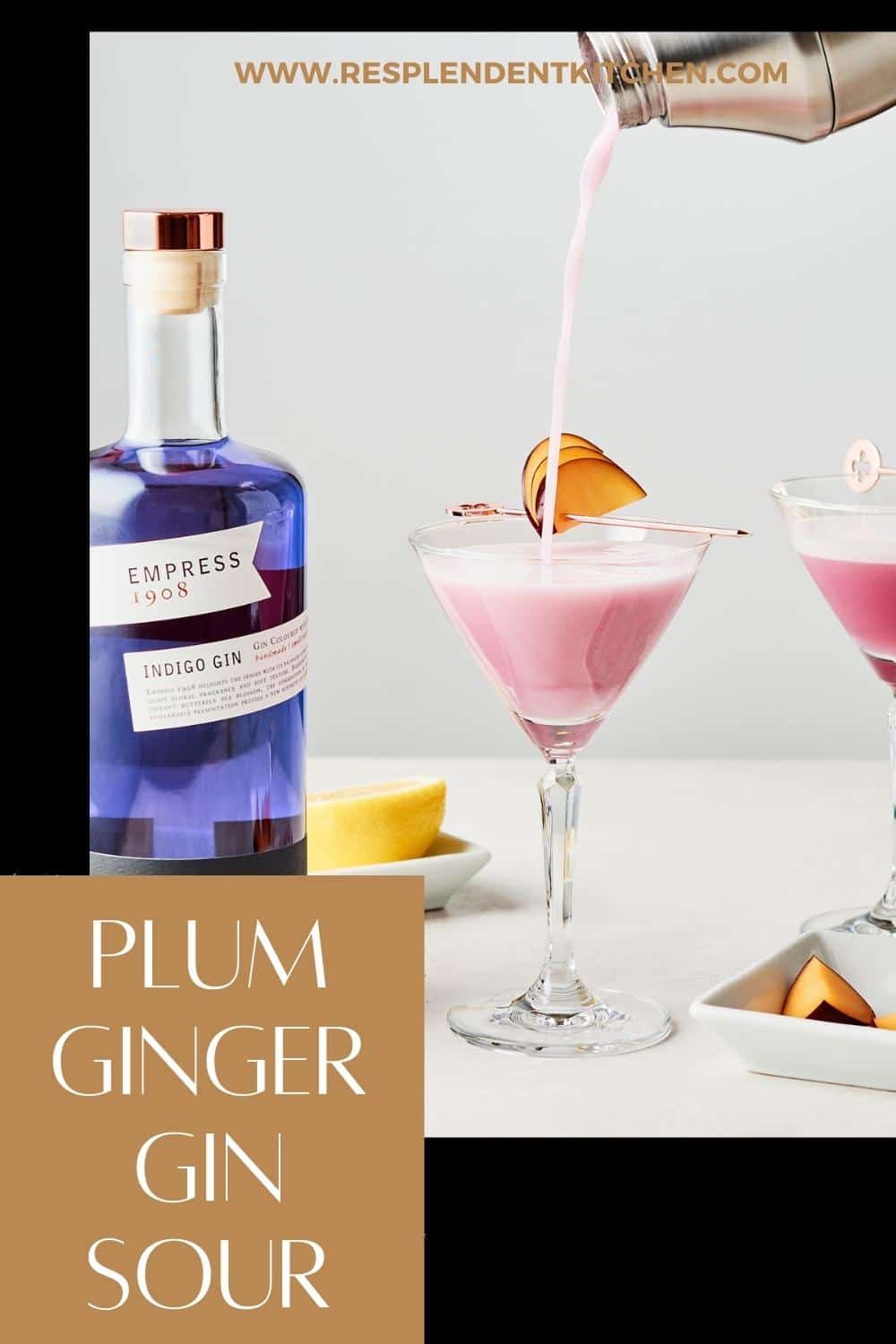 Delicious Plum Ginger Gin Sour Cocktail Recipe - Resplendent Kitchen